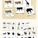 FARM & WILD ANIMALS Cutting Strips Sorting Mini Cards Scissors Cutting ...