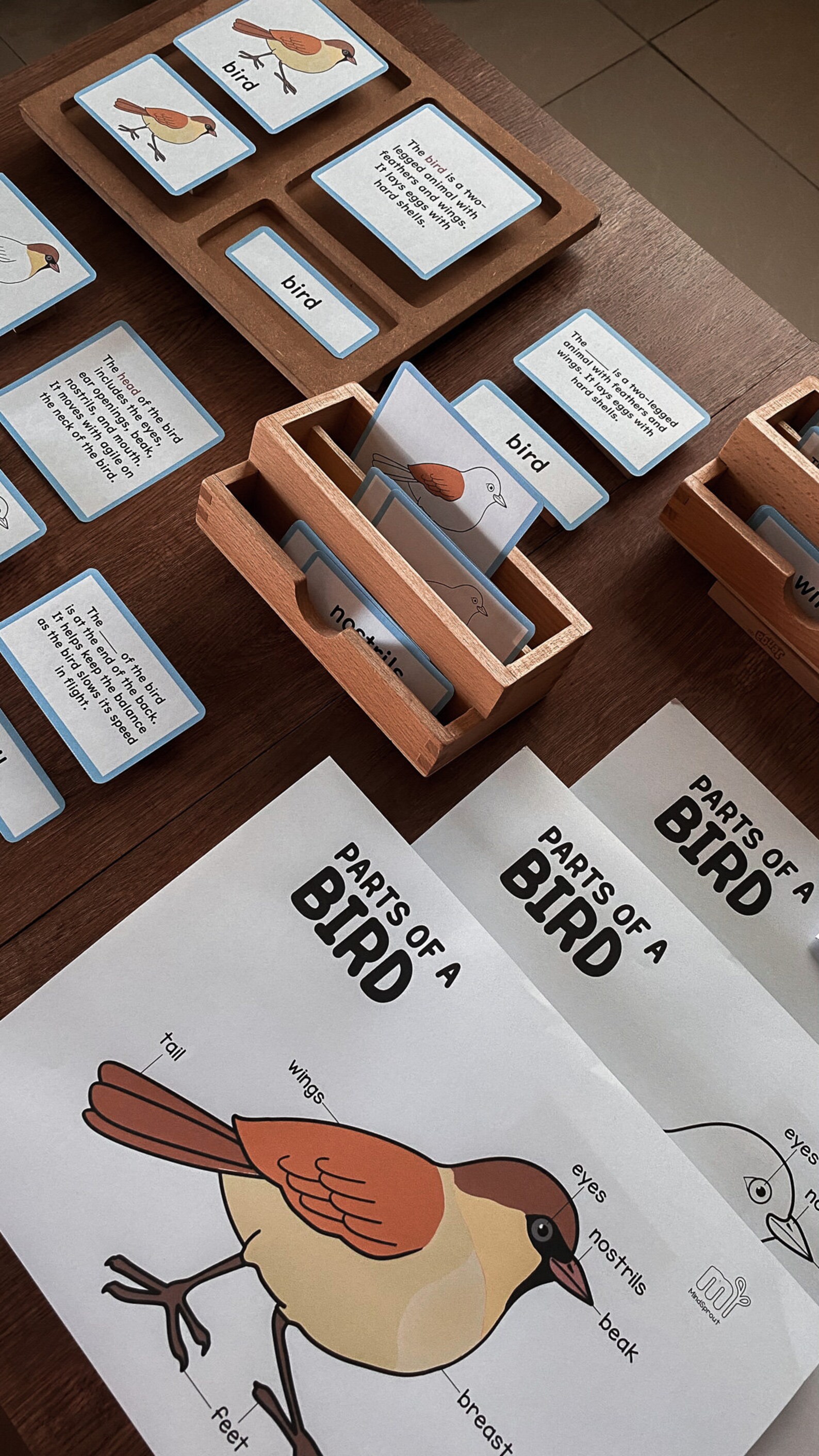 BIRDS Zoology Unit Study Parts of Birds Montessori Nomenclature 5-part ...