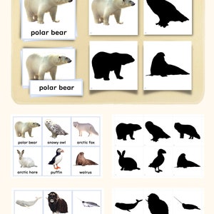 POLAR ANIMALS Montessori Nomenclature 3 Part Cards Shadow Matching Card ...