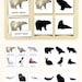 POLAR ANIMALS Montessori Nomenclature 3 Part Cards Shadow Matching Card ...