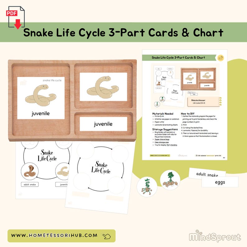 Snake Life Cycle 3-part Cards & Chart Zoology Montessori Printable ...