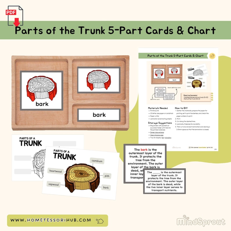Parts of the Trunk Cards, Chart & Booklets Botany Montessori Printable ...