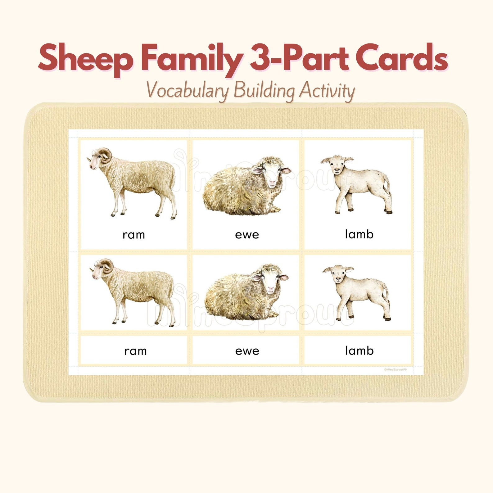 CHARLIE NEEDS A CLOAK Book-based Activities Bundle Montessori Language ...