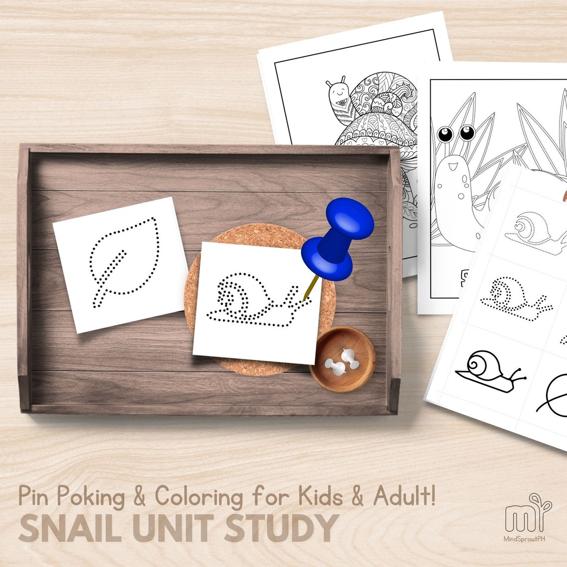 Snail Unit Study Preschool Activities Bundle Counting Clip Cards ...