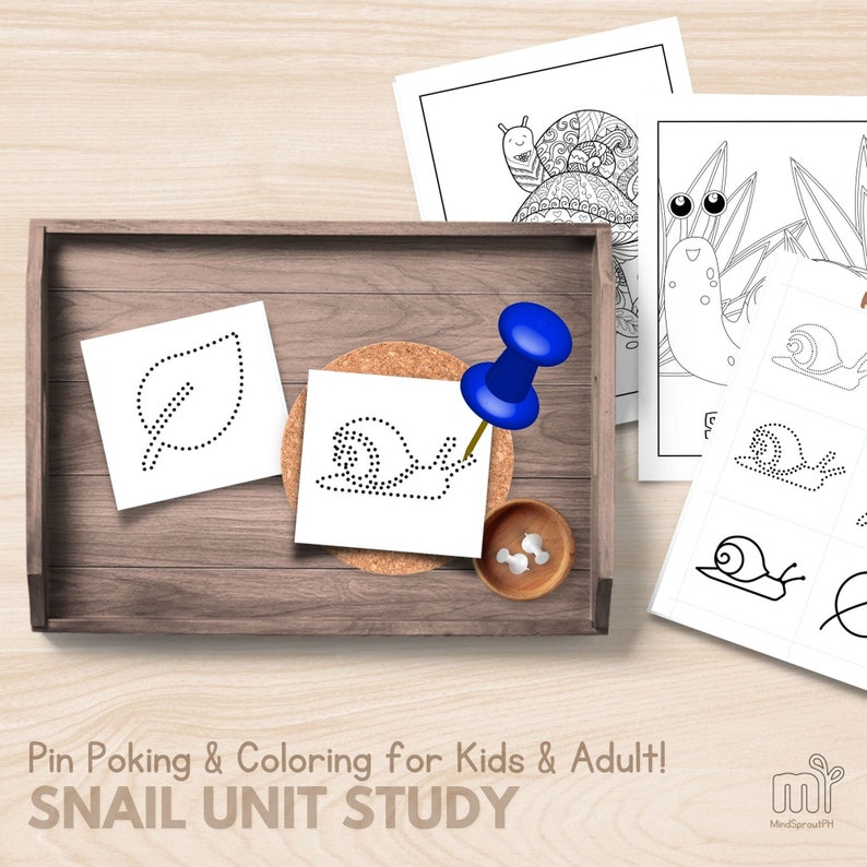 Snail Unit Study Preschool Activities Bundle Counting Clip Cards ...