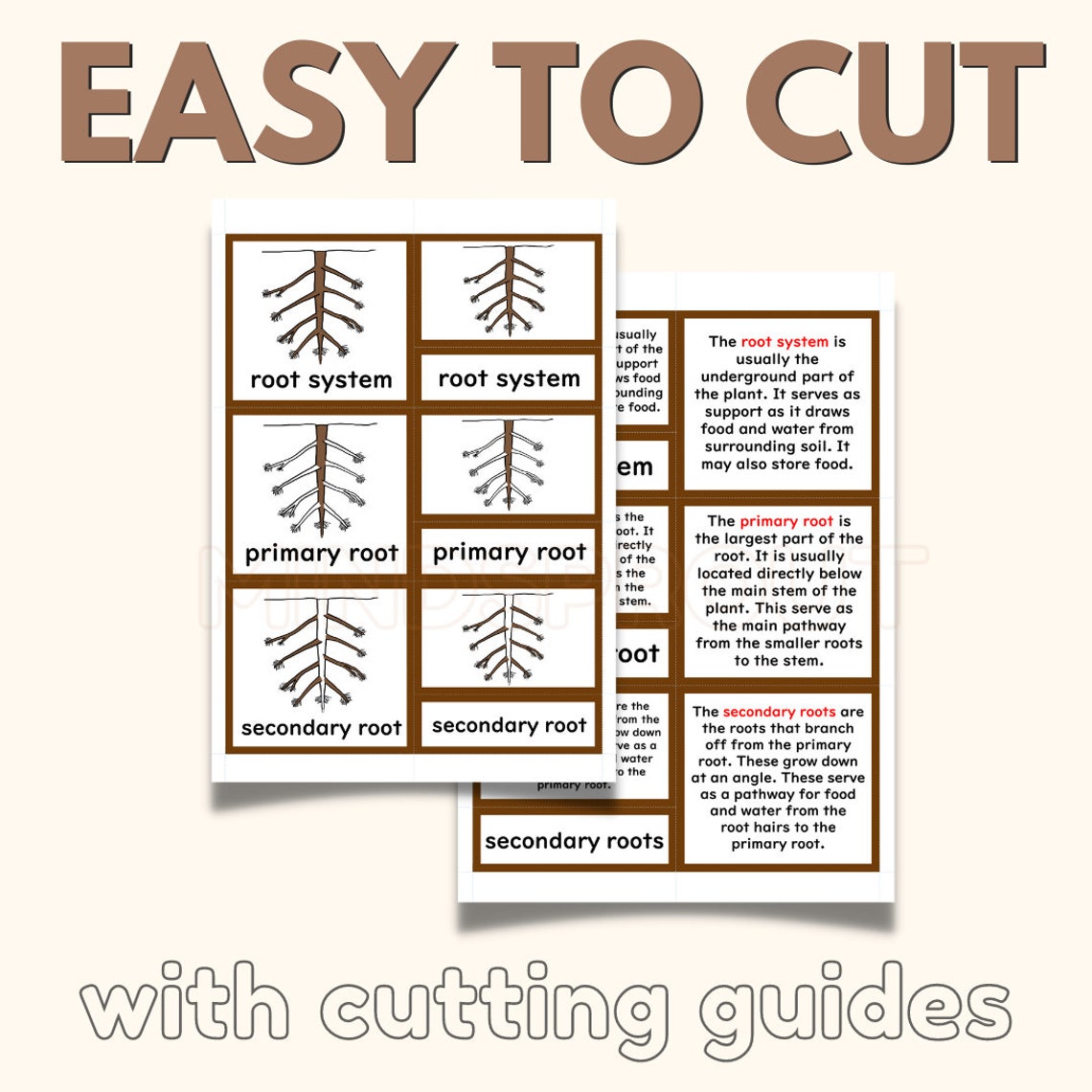 Parts of the ROOTS Montessori Botany Tree Root Unit Study 5-part Card ...