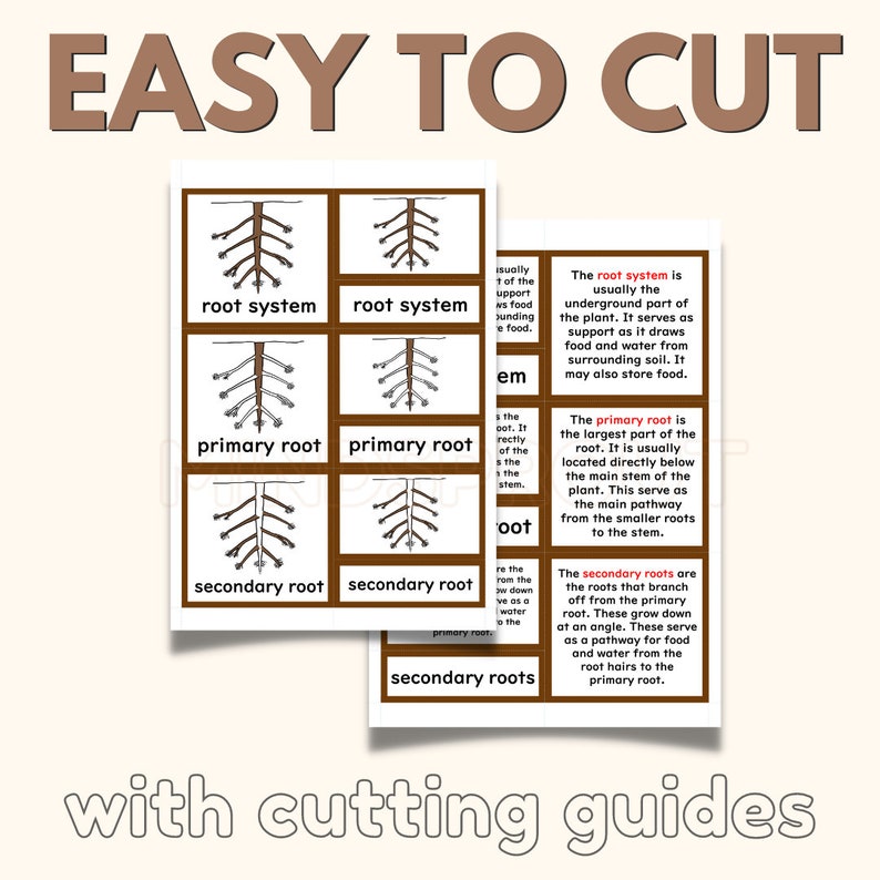 Parts of the ROOTS Montessori Botany Tree Root Unit Study 5-part Card ...