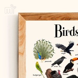 Educational Wall Art Montessori Chart Birds Poster Home Decor for ...