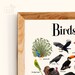 Educational Wall Art Montessori Chart Birds Poster Home Decor for ...
