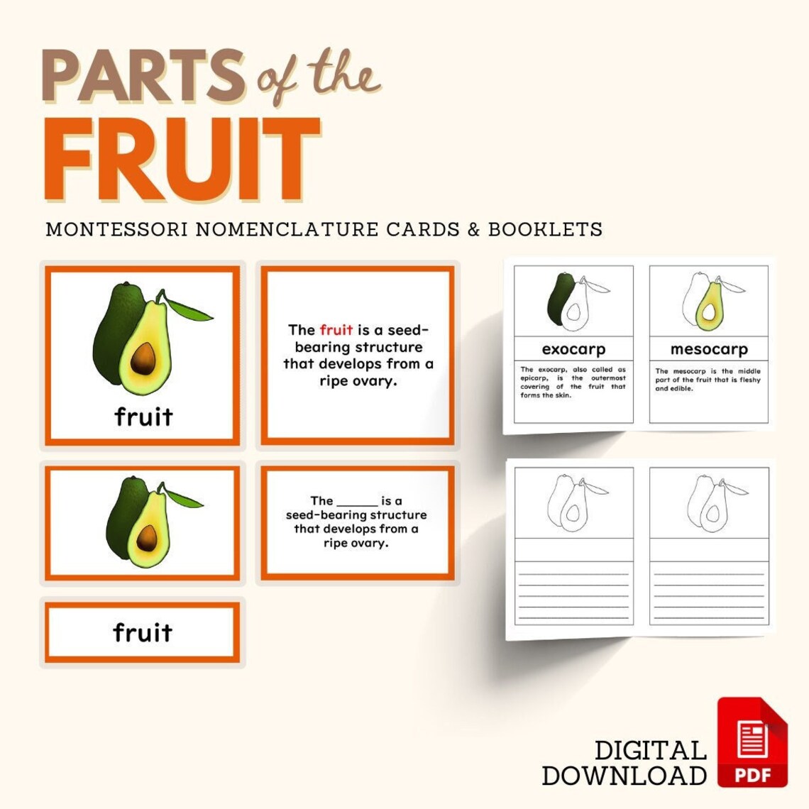 Parts of the FRUIT Montessori Botany Fruits Language Activity Plant ...