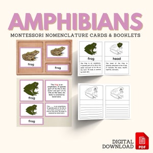 VERTEBRATES Montessori Zoology Unit Study Montessori Nomenclature 5 ...