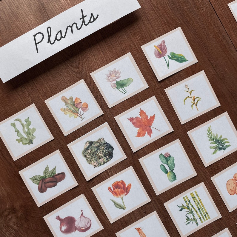 PLANT and ANIMAL Sorting Cards Game Montessori Activity Preschool ...