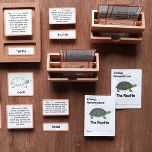 REPTILES Zoology Unit Study Parts Turtle Montessori Nomenclature 5-part ...