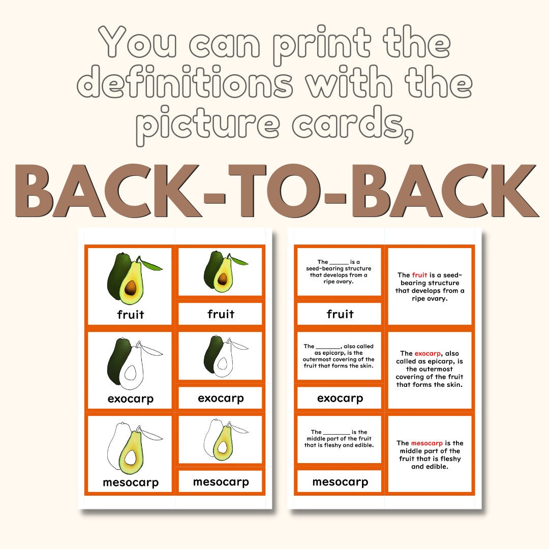 Parts of the FRUIT Montessori Botany Fruits Language Activity Plant ...