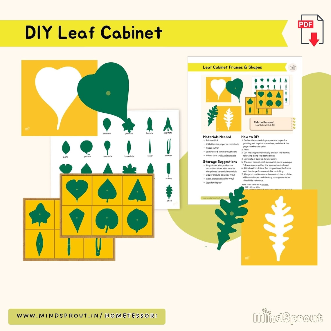 DIY Botany Cabinet Shapes & Frames Montessori Sensorial Leaf Cabinet ...