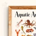Educational Wall Art Montessori Chart Ocean Animal Poster Home Decor ...