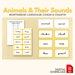 Animal Vocabulary Cards Charts CURSIVE Montessori Language Material ...