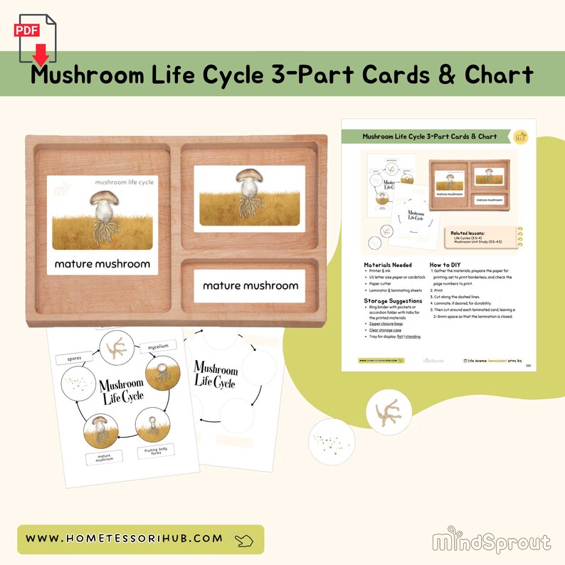 Mushroom Life Cycle 3-part Cards & Chart Miscellaneous Montessori ...