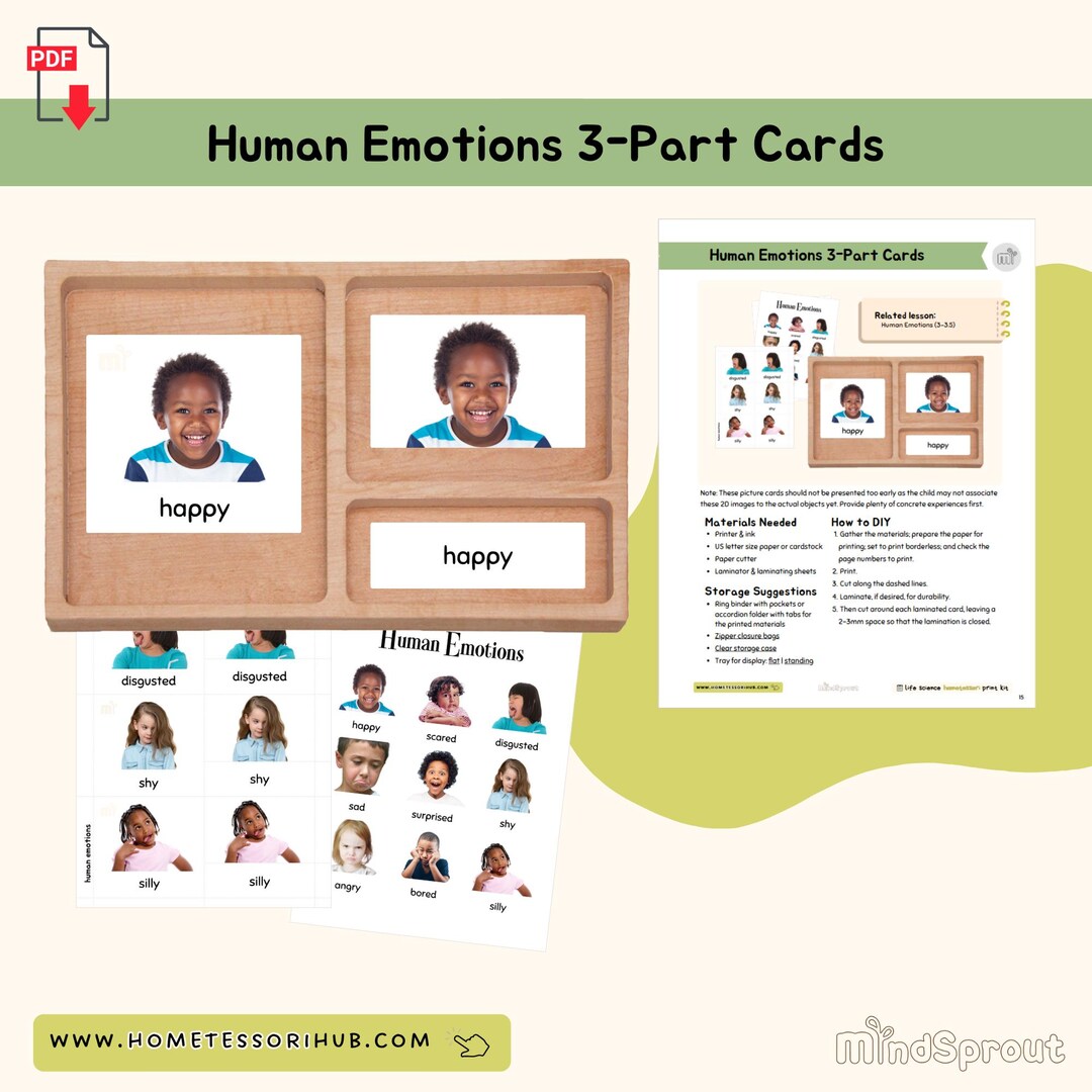 Human Emotions 3-part Cards Zoology Montessori Printable Material - Etsy