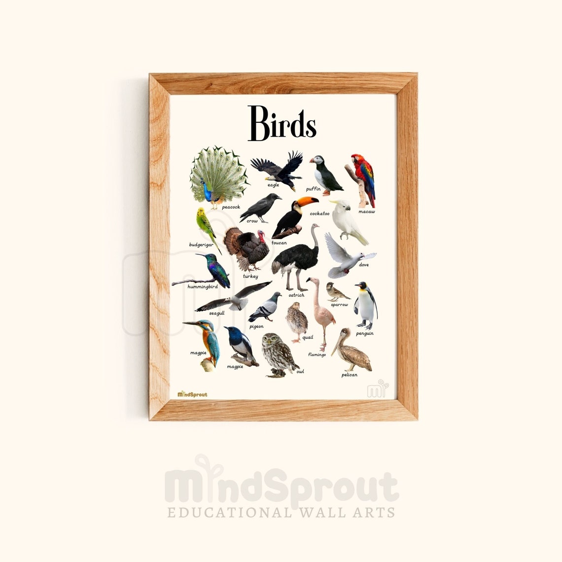 Educational Wall Art Montessori Chart Birds Poster Home Decor for ...