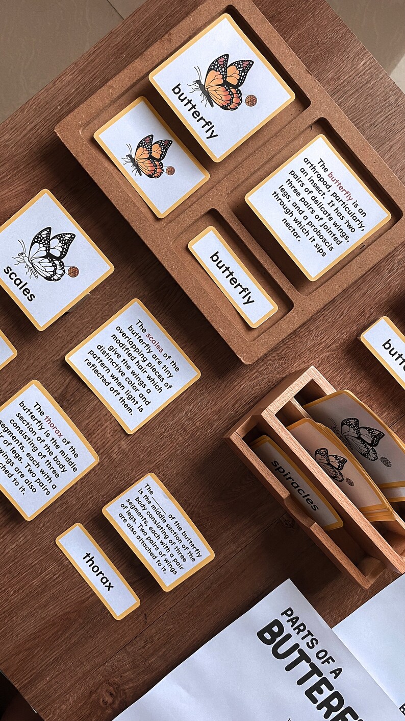 ARTHROPODS Zoology Unit Parts of Butterfly Montessori Nomenclature 5 ...