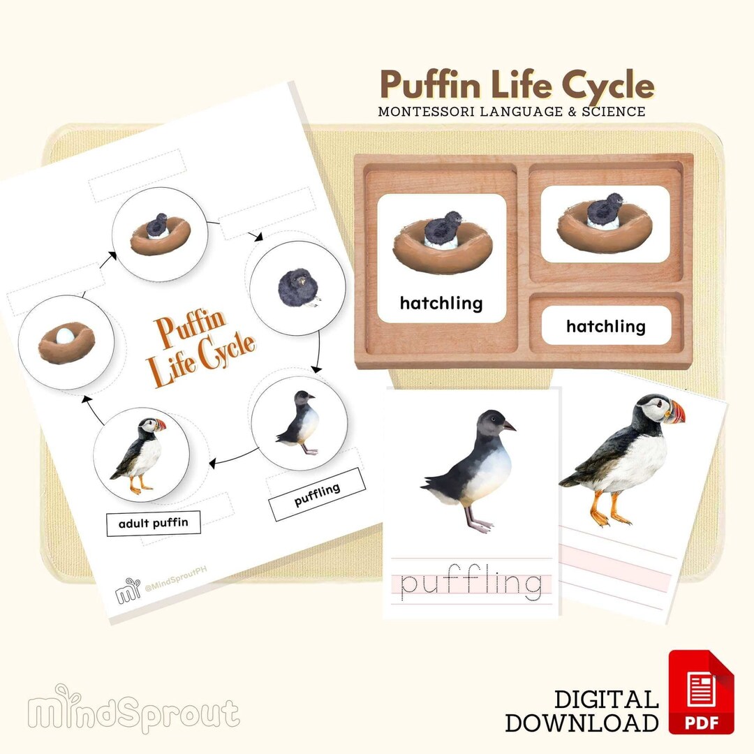 Life Cycle of Puffin, Montessori Language Puffin Life Cycle Material ...