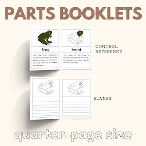 AMPHIBIANS Zoology Unit Study Parts Frog Montessori Nomenclature 5-part ...
