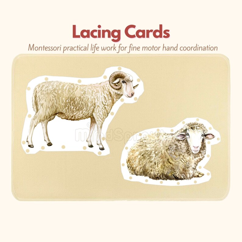 CHARLIE NEEDS A CLOAK Book-based Activities Bundle Montessori Language ...