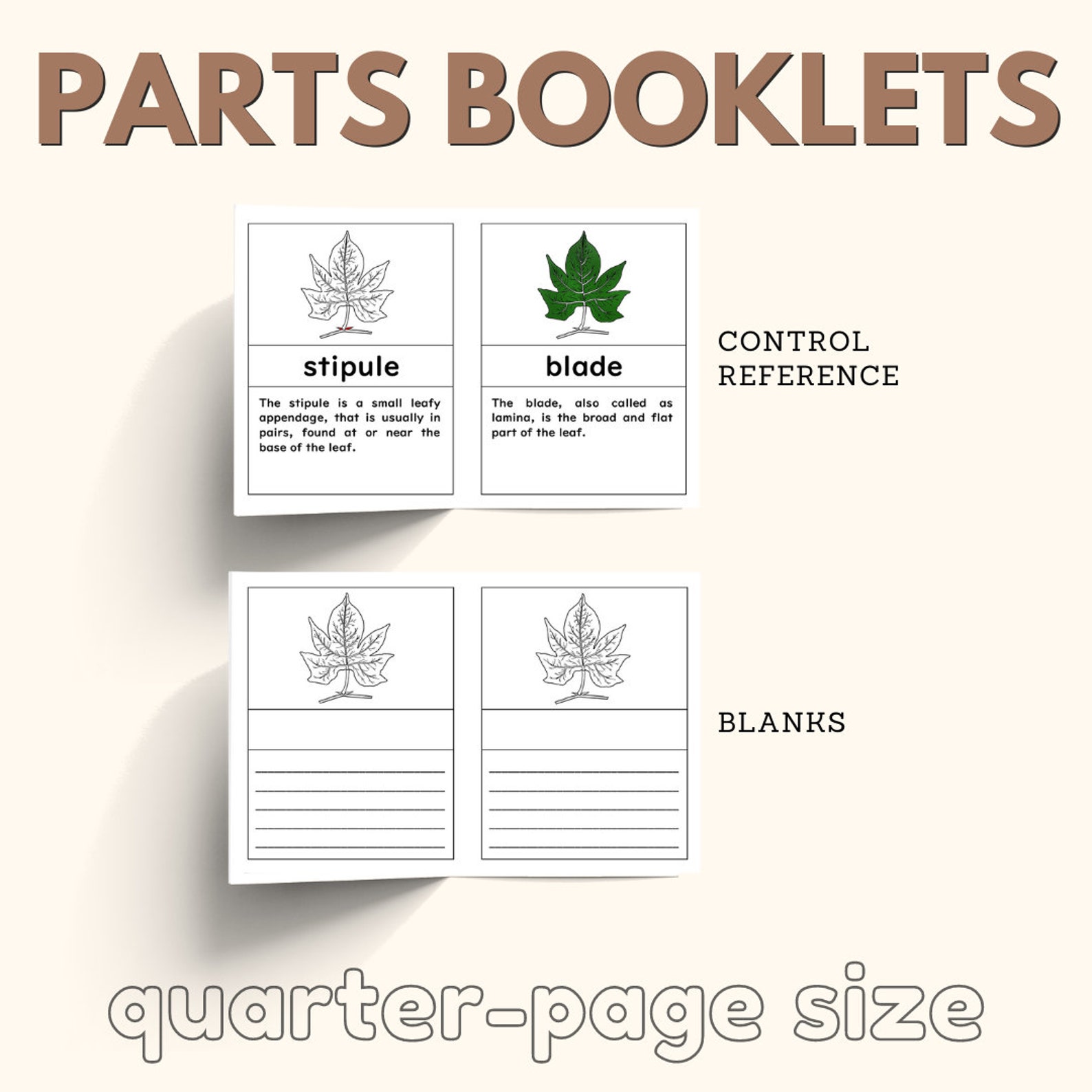 Parts of the LEAF Montessori Botany Unit Study 5-part Card Definition ...