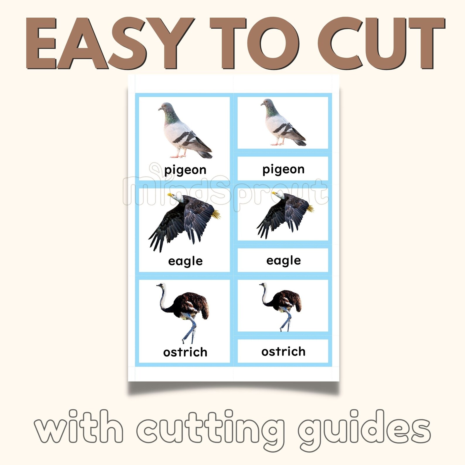 BIRDS Three Part Cards Montessori Nomenclature 3-part Classified Cards ...