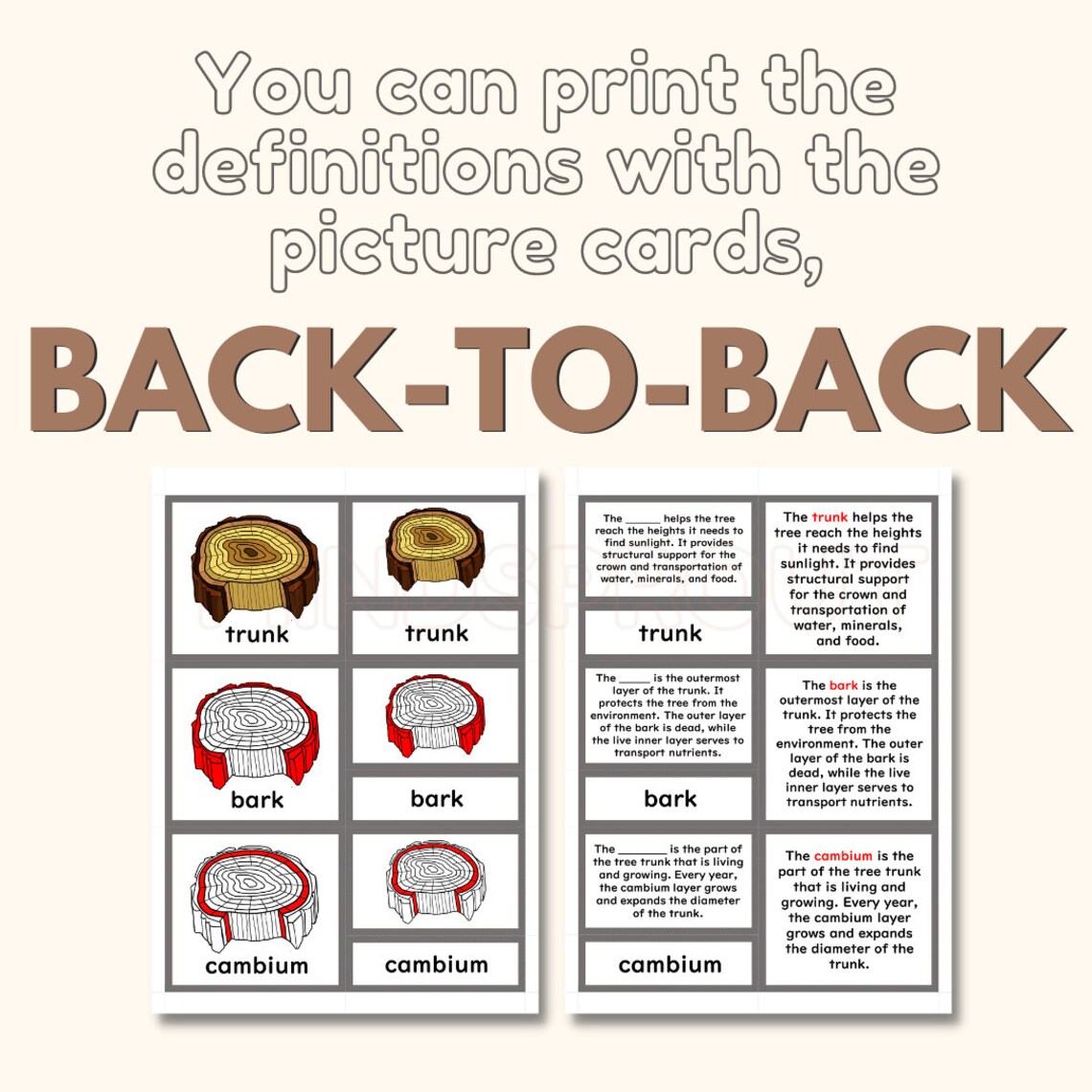 Parts of the TRUNK Montessori Botany Unit Study 5-part Card Definition ...