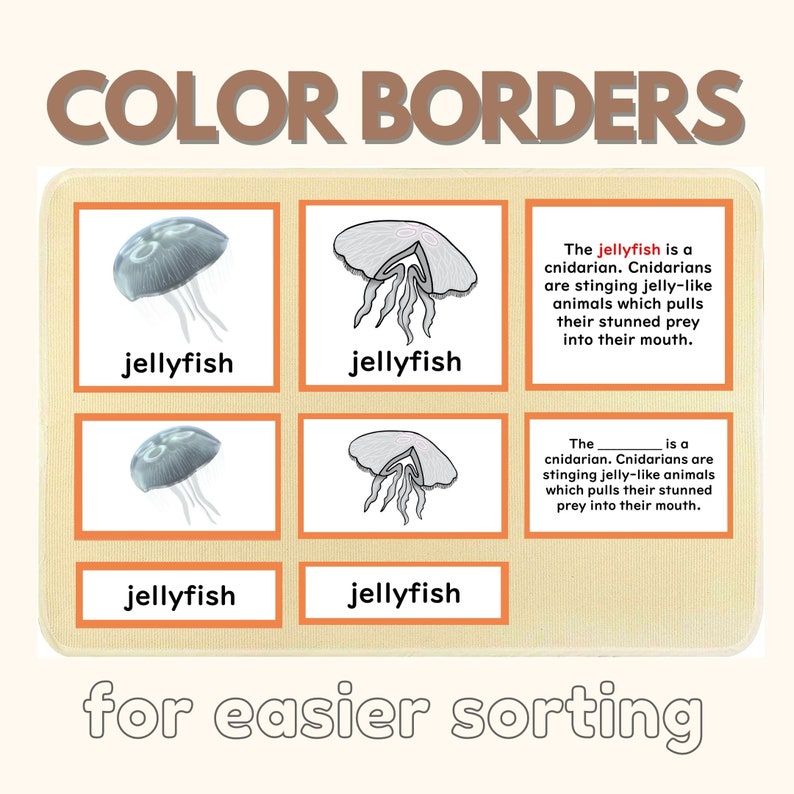 CNIDARIAN Three Part Cards Montessori Nomenclature 3-part Classified ...