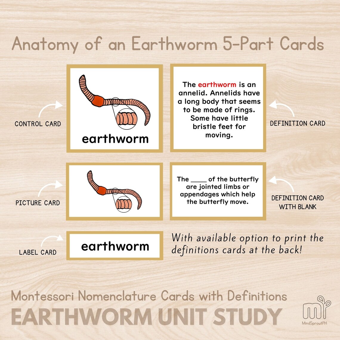 Earthworm Unit Study for 3-9 Preschool Activities Unit Research for ...