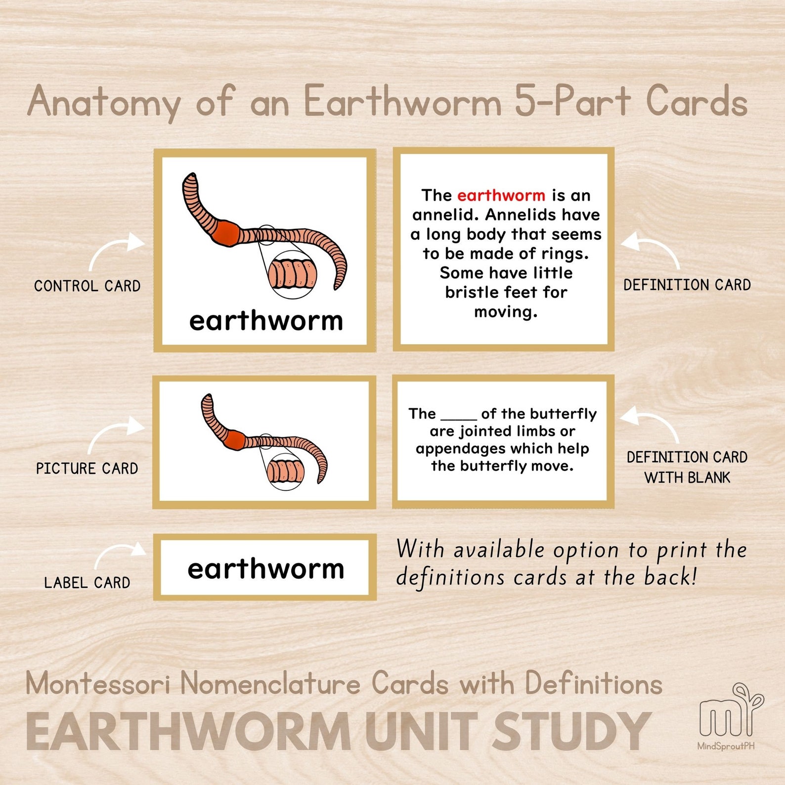 Earthworm Unit Study for 3-9 Preschool Activities Unit Research for ...