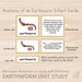 Earthworm Unit Study Montessori 5 Part Card Anatomy Earthworm Life ...