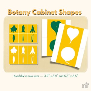 Botany Cabinet Shapes Montessori Botany Puzzle Cards Montessori Leaf ...