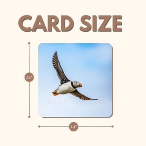 Land Water Air Classification Sorting Activity 40 Places Activities ...