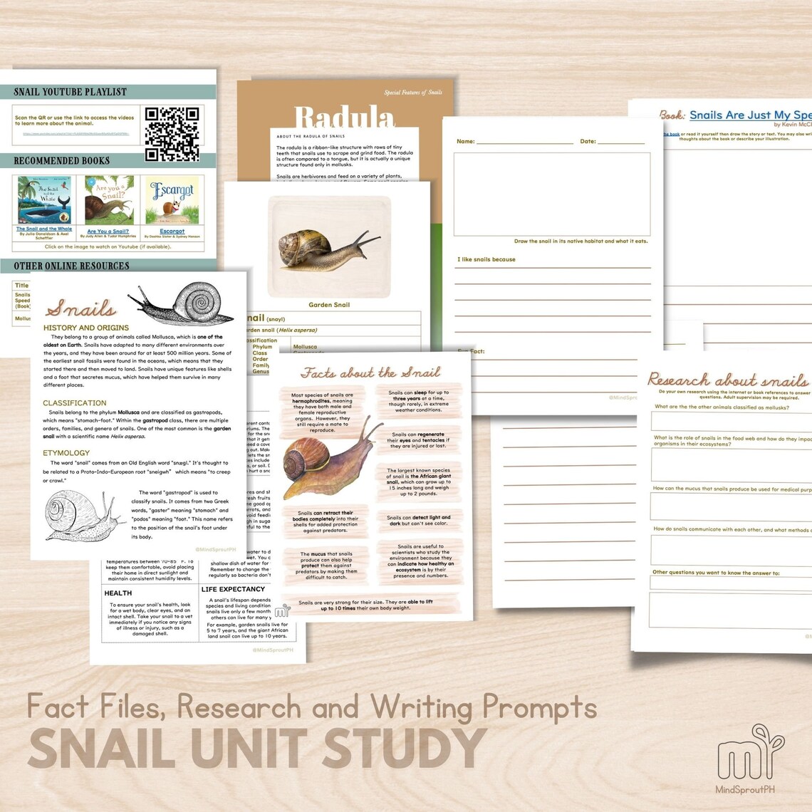 Snail Unit Study for 3-9 Preschool Activities Unit Research - Etsy