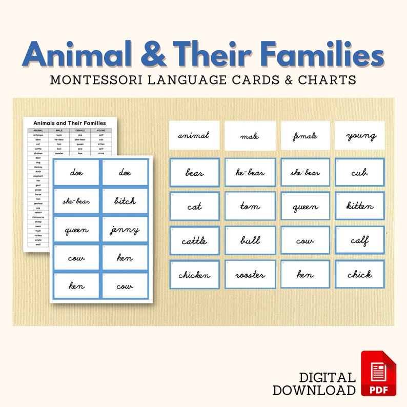 Animal Vocabulary Cards Charts CURSIVE Montessori Language Material ...