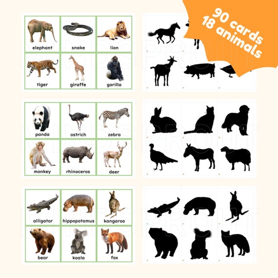 Wild Animals Images With Names Pdf