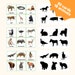 WILD ANIMALS Montessori Nomenclature 3 Part Card Silhouette Shadow ...