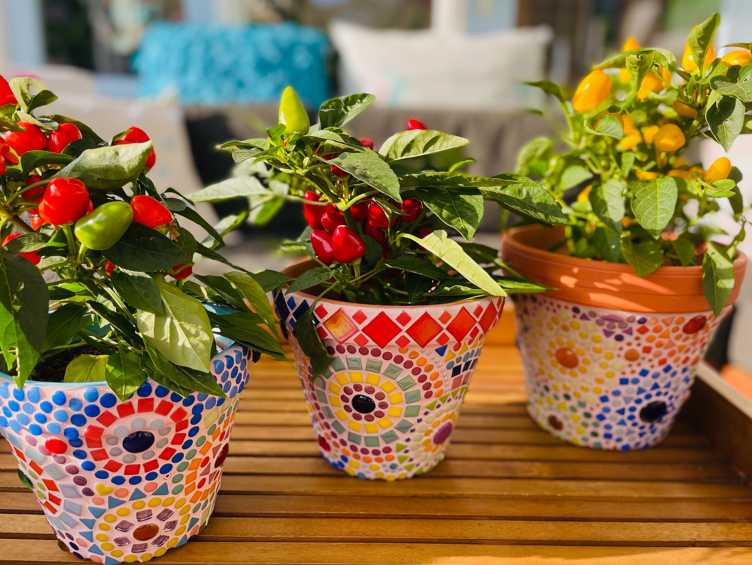 Flower Pot, Make Your Own (DIY) or Order Ready Made (MBM), Mosaic ...