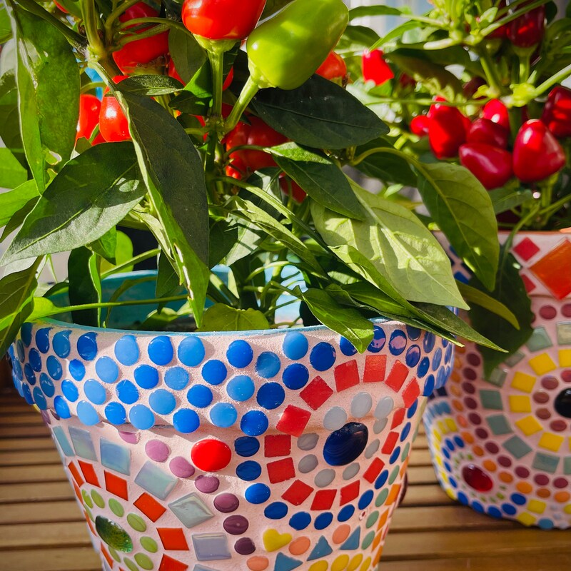 Mosaic Pot - Etsy
