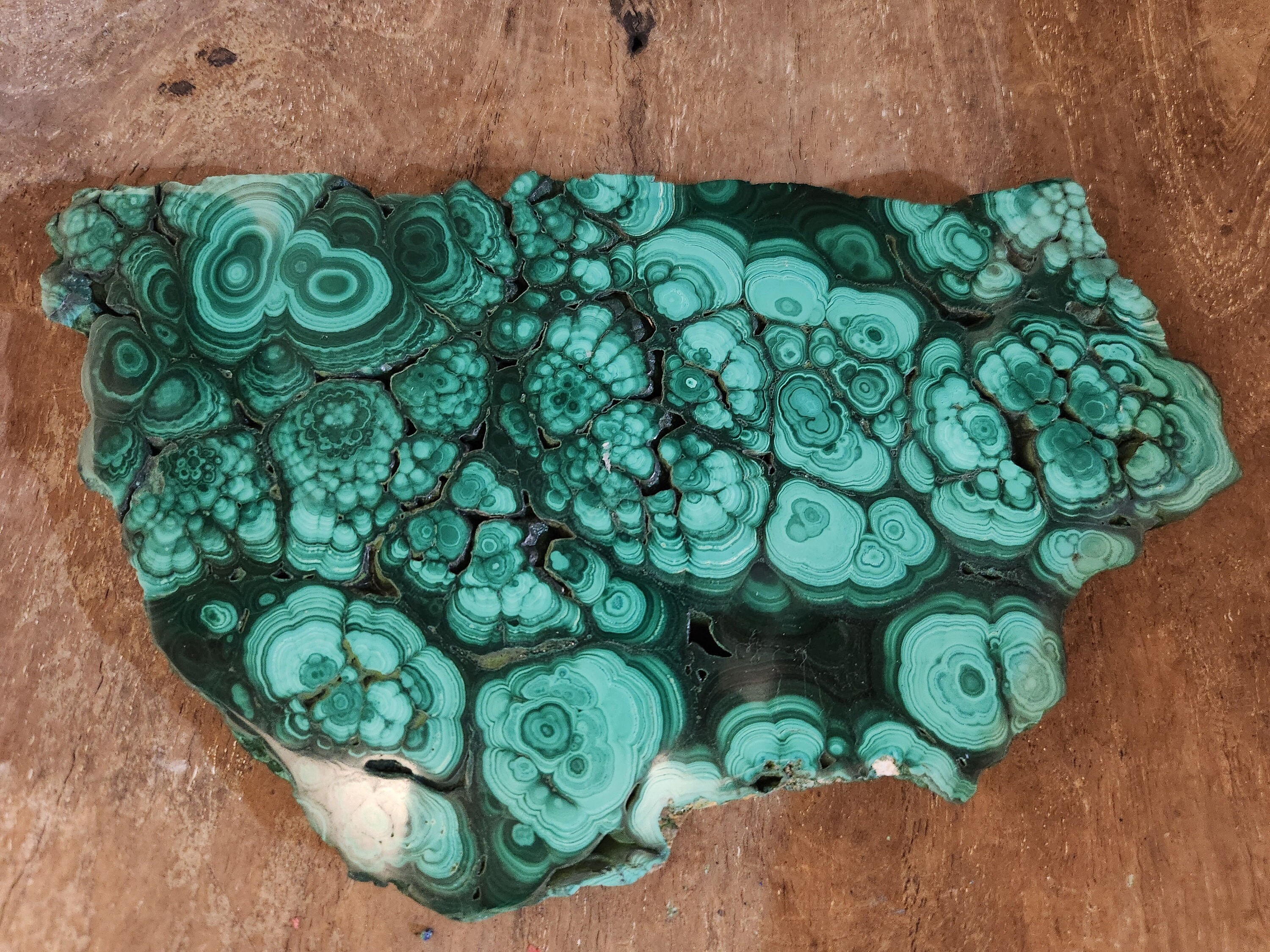 1.1lb Malachite Slab Rare Malachite Freeform Large Malachite - Etsy