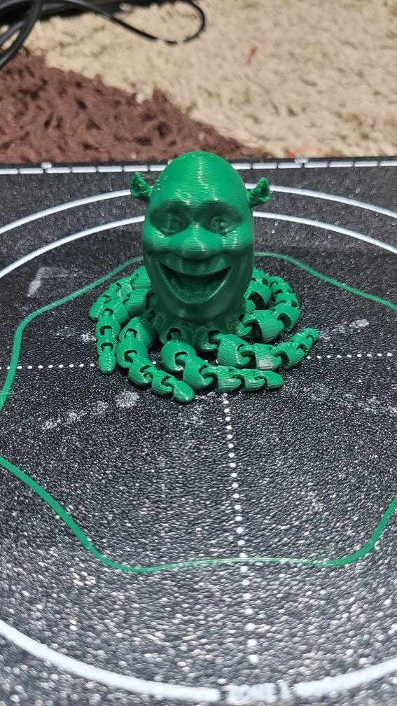 Shrektopus 3D Printed Fidget Toy - Etsy Norway