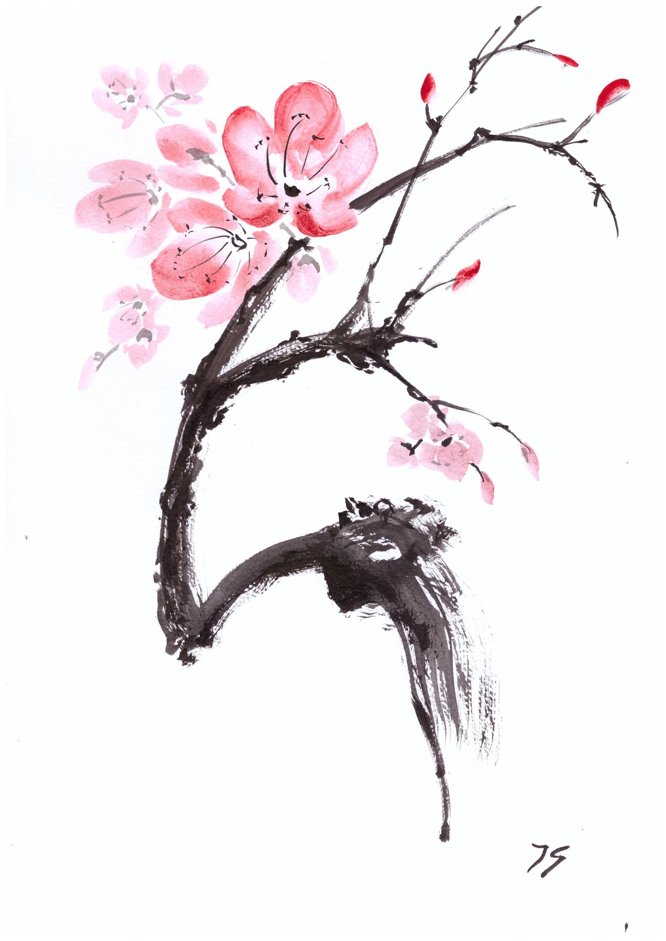 Original Japanese Ink Painting Sumie Small Artwork Sakura Cherry ...