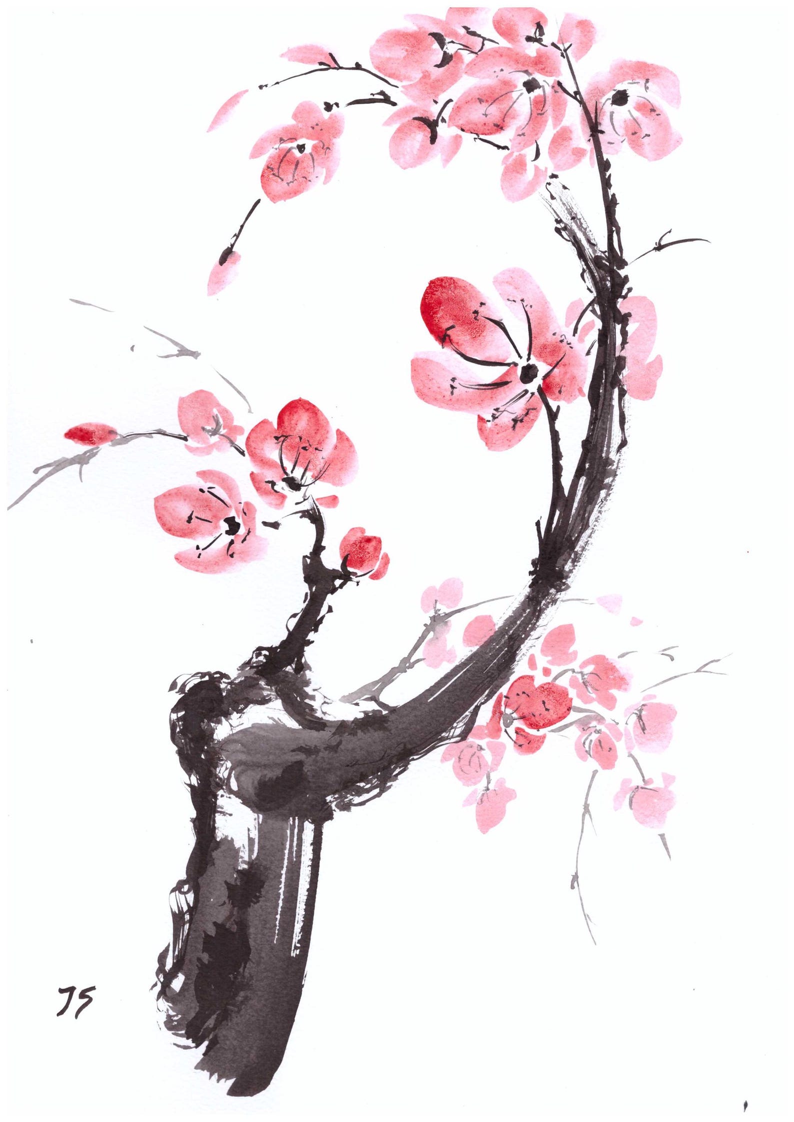 Original Japanese Ink Painting Sumie Small Artwork Sakura Cherry ...