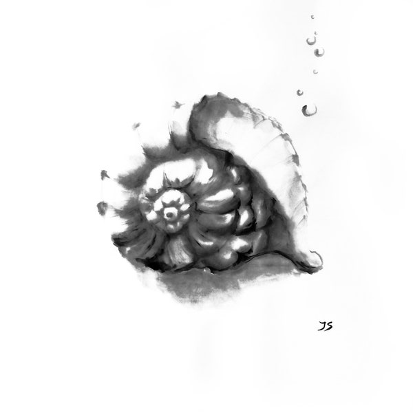 Chinese Shell Art - Etsy