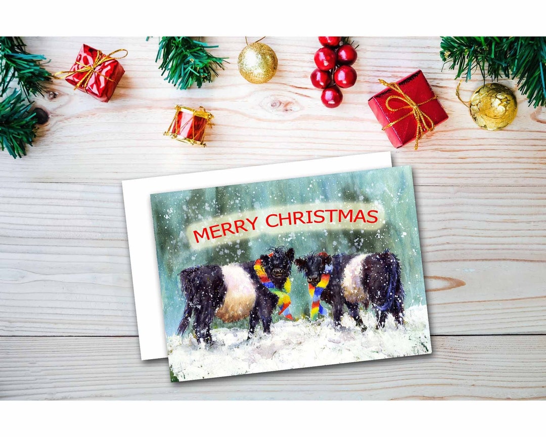 Belted Galloway Cow Christmas Card Xmas Card With Cows - Etsy