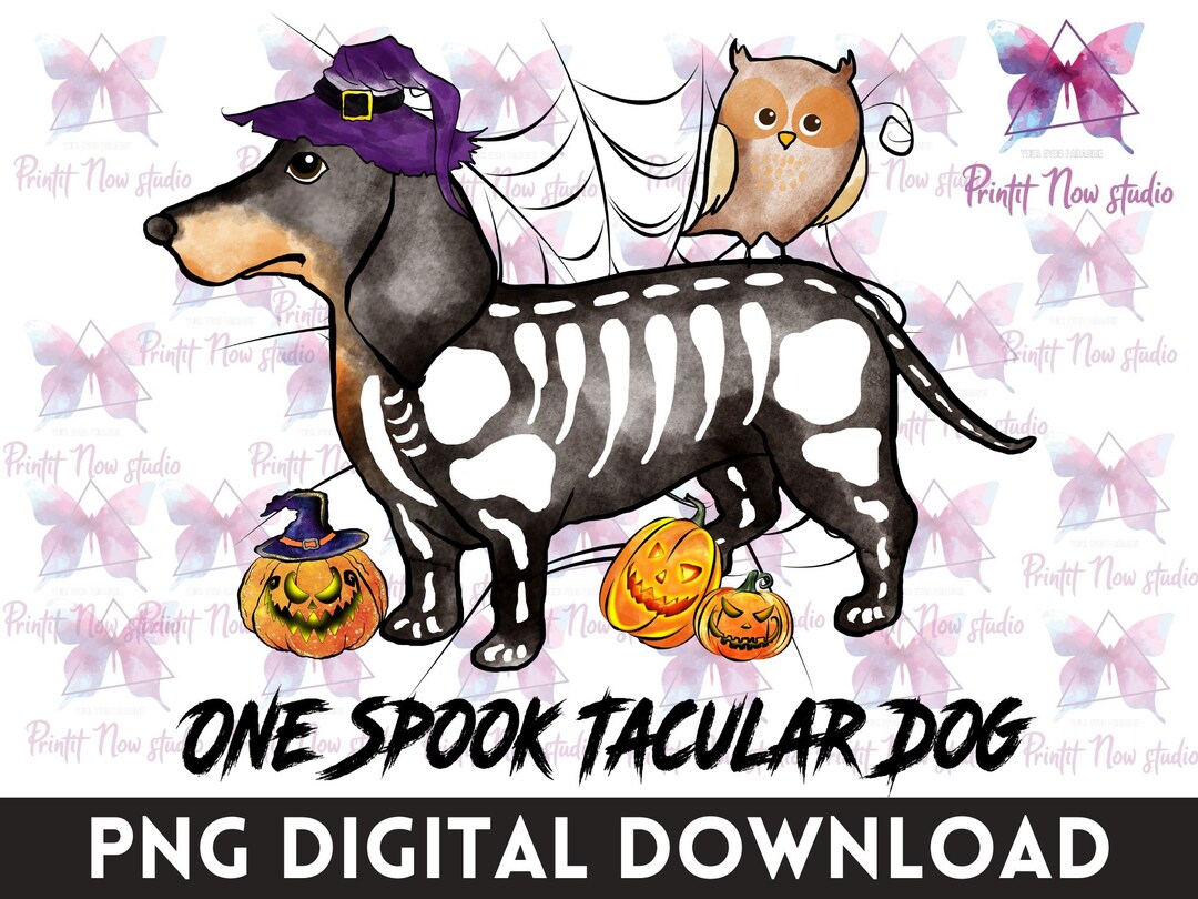 One Spook Tacular Dog Halloween Png Sublimation Design Halloween Dog ...